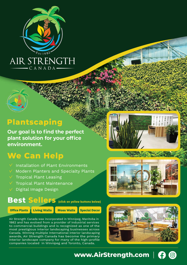 Front inside cover W 210mm x H 297mm ad - only 1 available per non awa ...